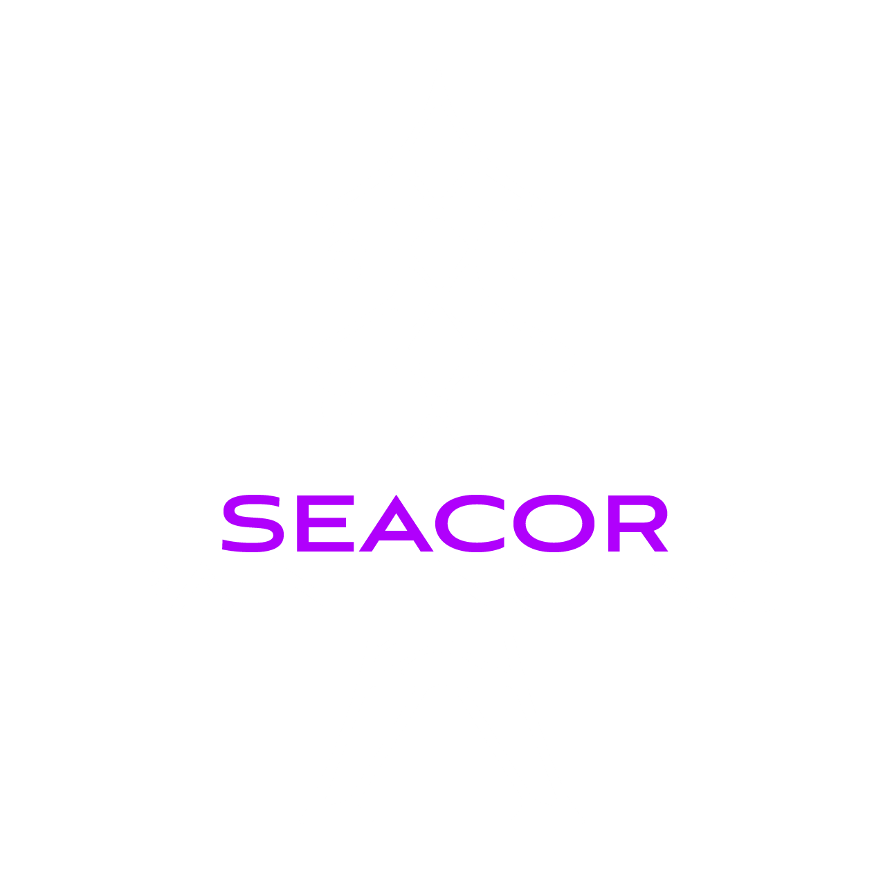 Seacor Painting - Painting Solutions For The Electric Utility Industry